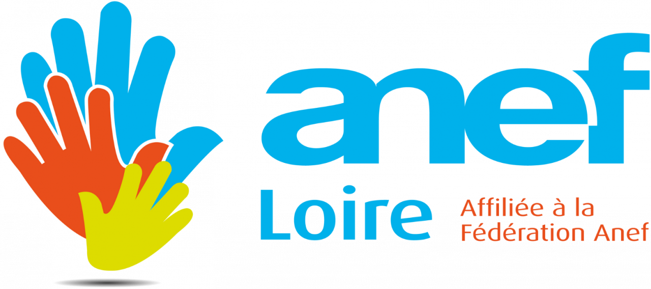 ANEF Loire - Fondation Groupe LDLC