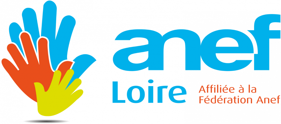 ANEF Loire - Fondation Groupe LDLC